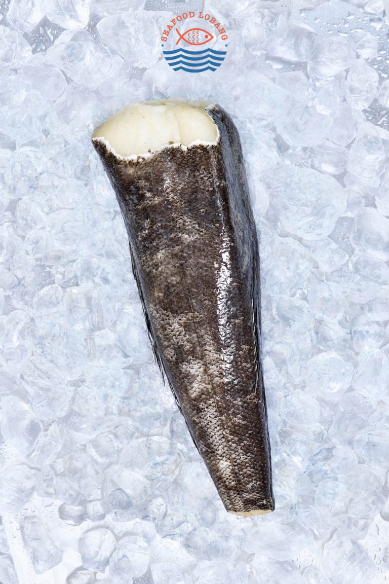 Cod Fish 鳕鱼 - Seafood Lobang